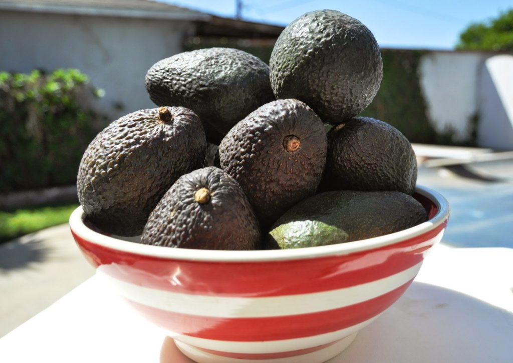 Would You Believe a Pink Avocado Smoothie? - Ruth Frechman